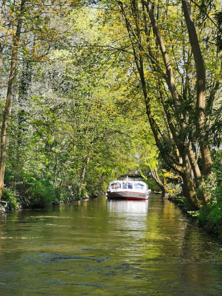 Hamburg auf dem Wasser erleben: Hadag Linie 62, Fleetfahrt, Kanalfahrt ...