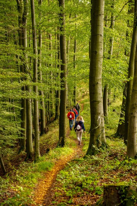 Taste the country - achtsam über Land: Das Kulturland Kreis Höxter mit ...