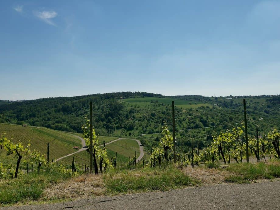 Wandern Remstal: Rundwanderung ab Aichelberg durch Wald und Weinberge ...