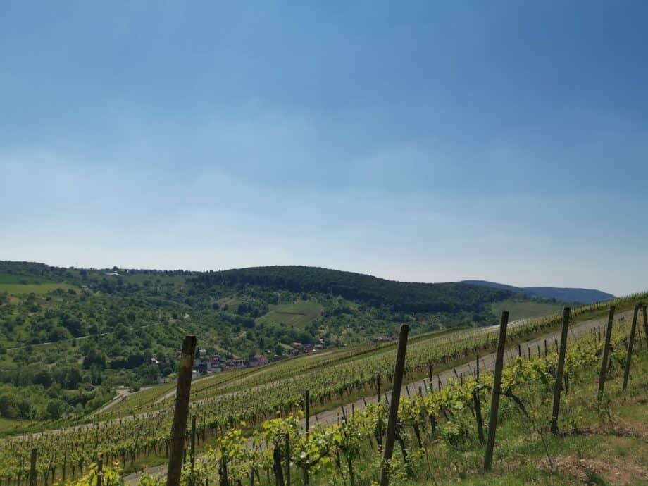 Wandern Remstal: Rundwanderung ab Aichelberg durch Wald und Weinberge ...