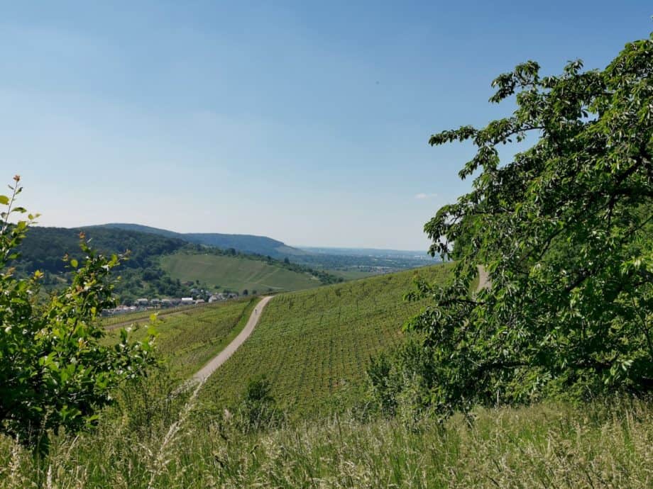 Wandern Remstal: Rundwanderung ab Aichelberg durch Wald und Weinberge ...