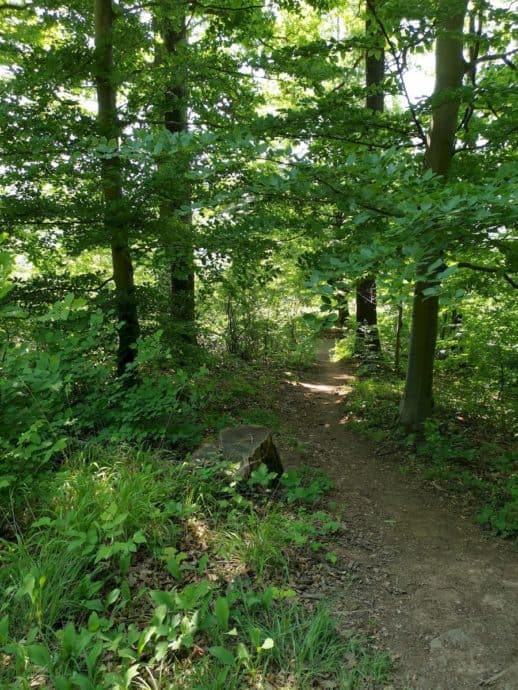 Wandern Remstal: Rundwanderung ab Aichelberg durch Wald und Weinberge ...