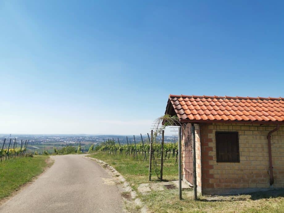 Wandern Remstal: Rundwanderung ab Aichelberg durch Wald und Weinberge ...